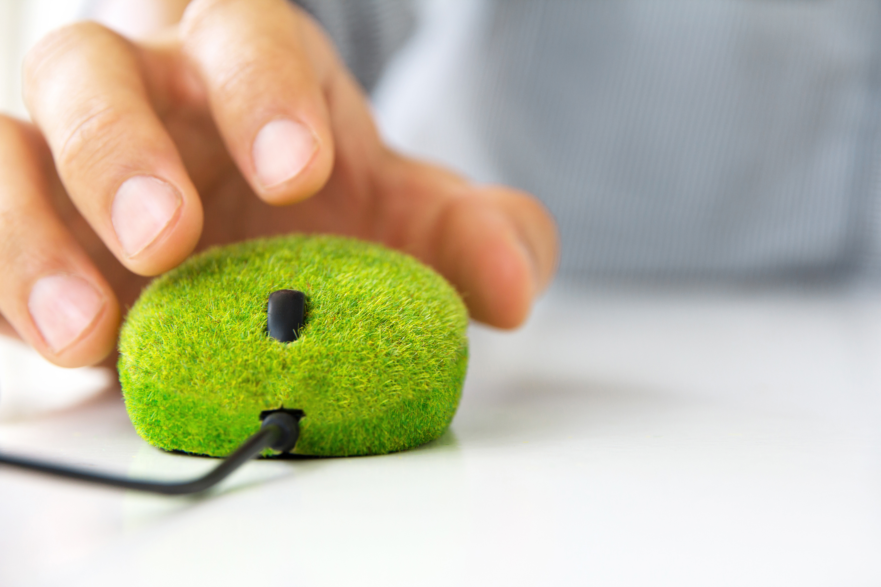 Directeur de recherche du développement durable | Le portail de la fonction publique