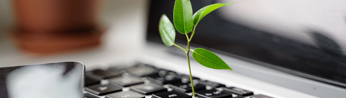 Transition écologique et énergétique et transformation de la fonction publique : comment rendre ...